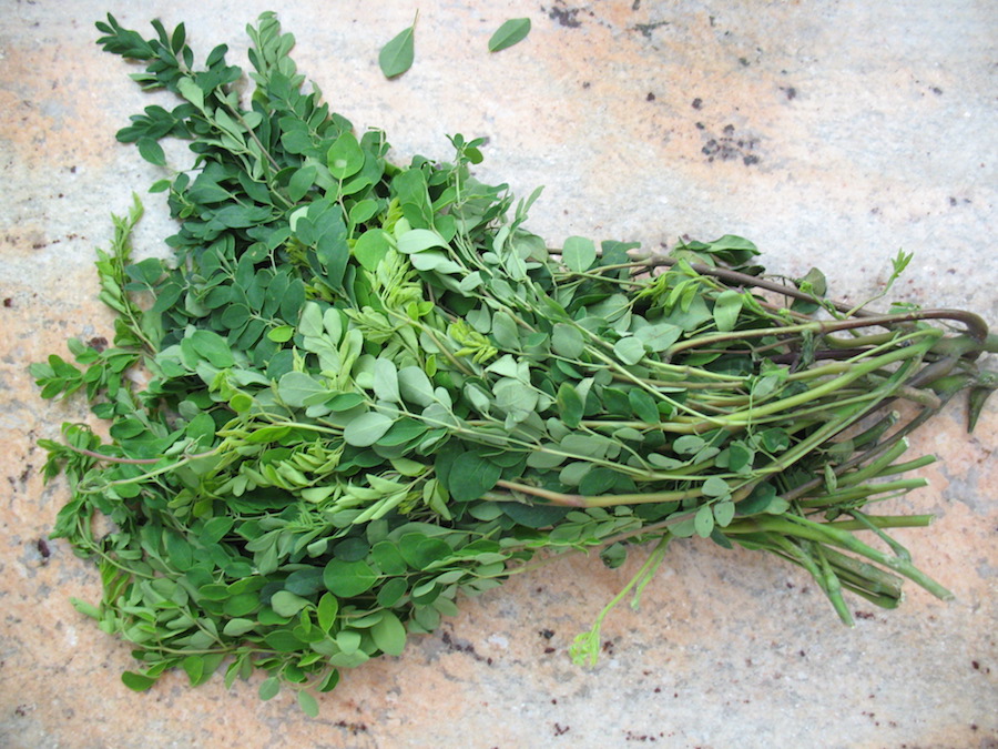 Edible Southeast Asian tree and bush leaves | Asian Markets of Philadelphia